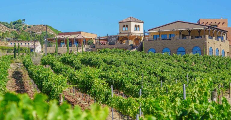 BCI Helps Fazeli Cellars Winery Reopen Safely | Barragan Corp ...